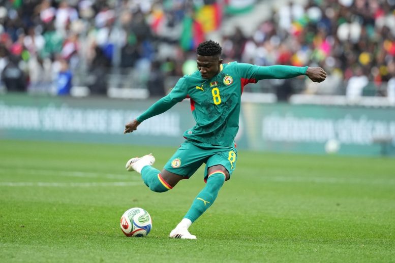 Senegal - grupa, kiedy zagra i gdzie oglądać?